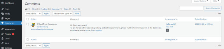 The First Steps After WordPress Installation: Clean up the Admin Area ...