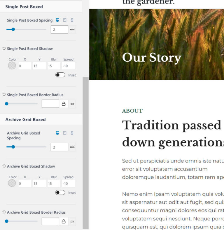 The Initial Setup of the Kadence Theme: The Layout Options Explained